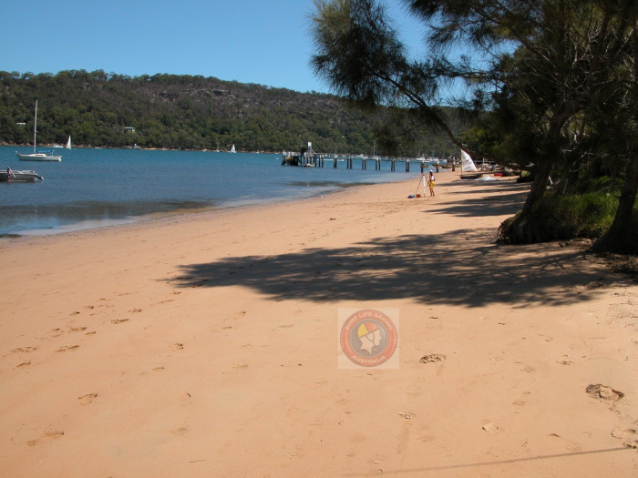 Currawong - Beach in Currawong Beach Pittwater NSW - SLS Beachsafe