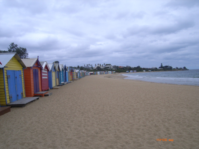 DENDY STREET - Beach in Dendy Bayside VIC - SLS Beachsafe
