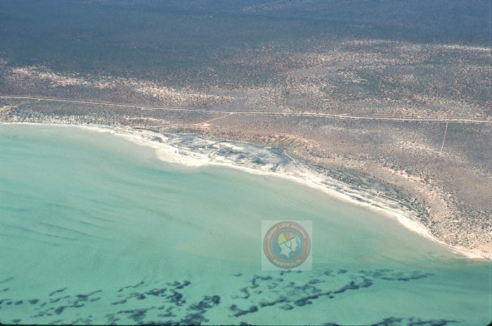 Denham Lookout - Beach in Denham Shark Bay WA - SLS Beachsafe