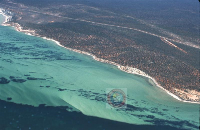 Denham Lookout (S) - Beach in Denham Shark Bay WA - SLS Beachsafe