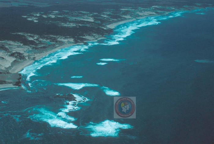 Evans Cave beach - Beach in Robe Robe SA - SLS Beachsafe