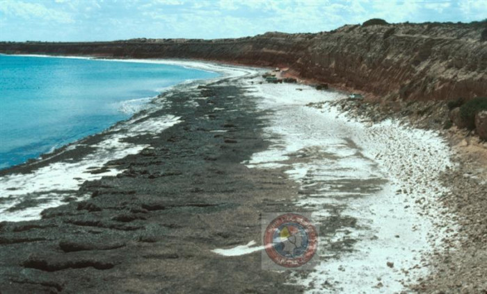 Balgowan - Beach in Balgowan Yorke Peninsula SA - SLS Beachsafe