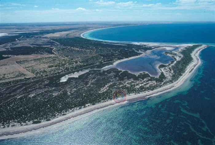 Foul Bay (east) - Beach in Foul Bay Yorke Peninsula SA - SLS Beachsafe