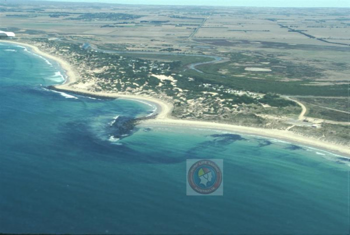 BANCOORA - Beach in Breamlea Greater Geelong VIC - SLS Beachsafe