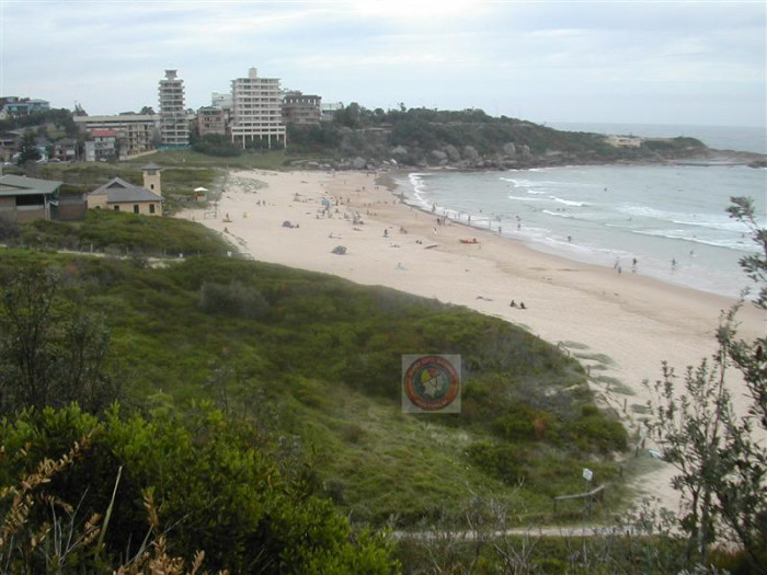FRESHWATER - Beach in Queenscliff Warringah NSW - SLS Beachsafe