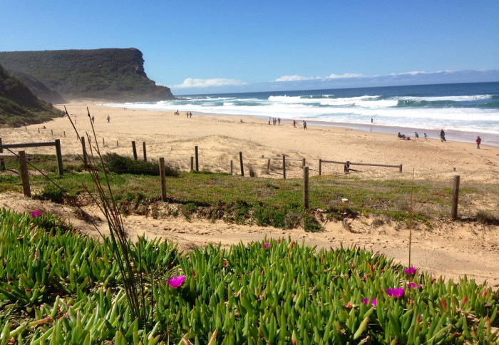 GARIE - Beach in Garie Wollongong NSW - SLS Beachsafe