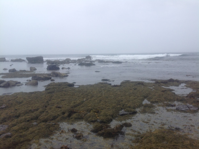 Golf Course Reef - Beach in Mollymook Shoalhaven NSW - SLS Beachsafe