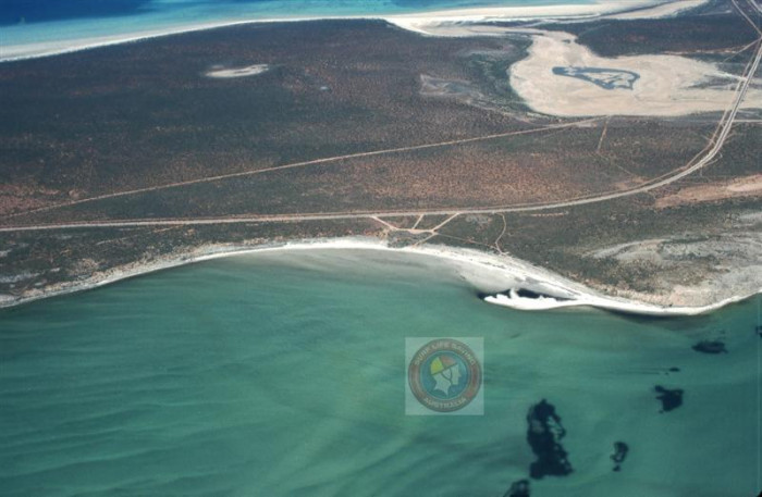 Goulet Bluff (N 2) - Beach in Nanga Shark Bay WA - SLS Beachsafe