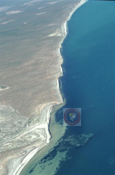 Goulet Bluff (S 1) - Beach in Nanga Shark Bay WA - SLS Beachsafe