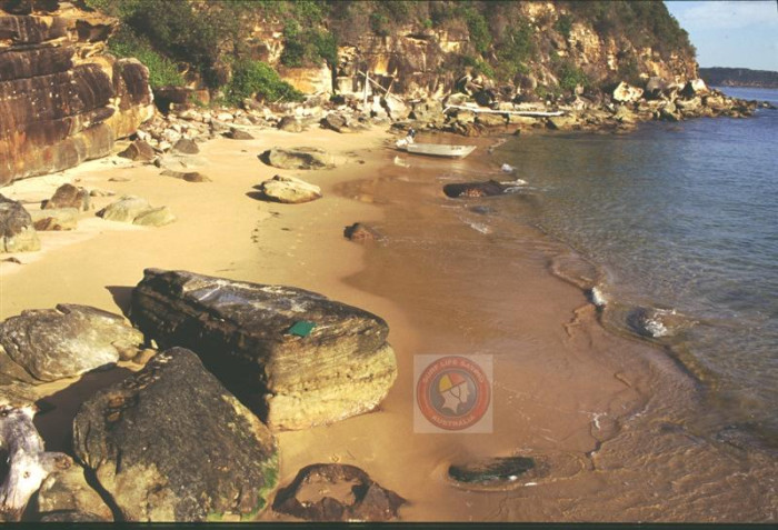 IRON LADDER - Beach in Box Head Gosford NSW - SLS Beachsafe