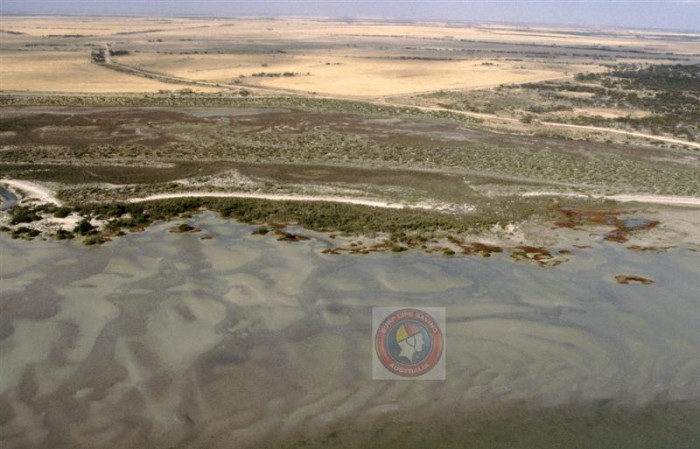 Laura Bay - Beach in Laura Bay Ceduna SA - SLS Beachsafe