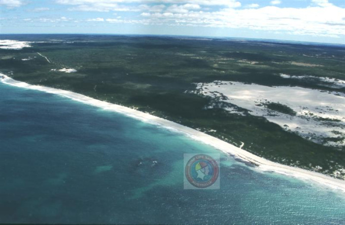 Ledge Point (N 1) - Beach in Ledge Point Gingin WA - SLS Beachsafe