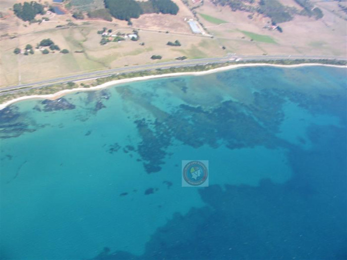 Lillico Beach - Beach in Lillico Devonport TAS - SLS Beachsafe