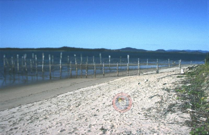 McEwens Beach - Beach in Mcewens Beach Mackay QLD - SLS Beachsafe