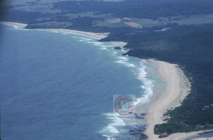 MERINGO - Beach in Meringo Eurobodalla NSW - SLS Beachsafe