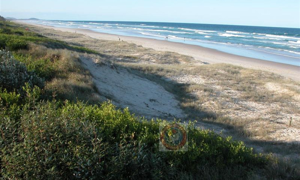 NEW BRIGHTON - Beach in New Brighton Byron NSW - SLS Beachsafe