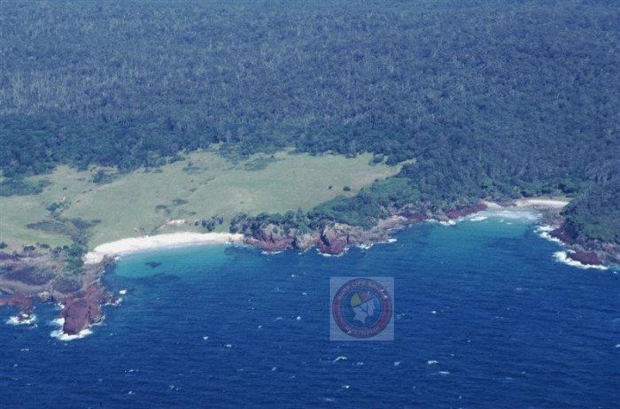 MOWARRY POINT 1 - Beach in Edrom Bega Valley NSW - SLS Beachsafe