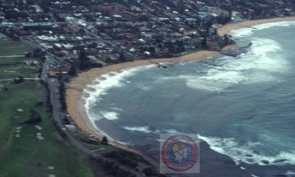 COLLAROY - Beach in Collaroy Beach Warringah NSW - SLS Beachsafe