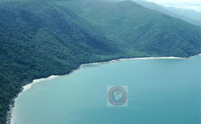 Palmer Point (north) - Beach in Fishery Falls Cairns QLD - SLS Beachsafe