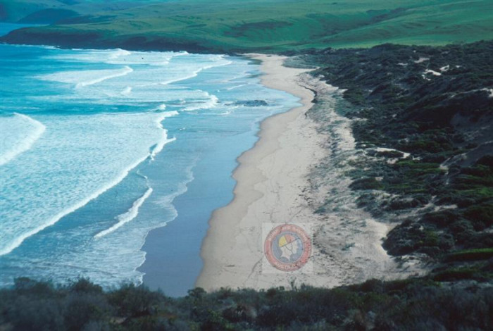 Parsons - Beach in Waitpinga Victor Harbor SA - SLS Beachsafe