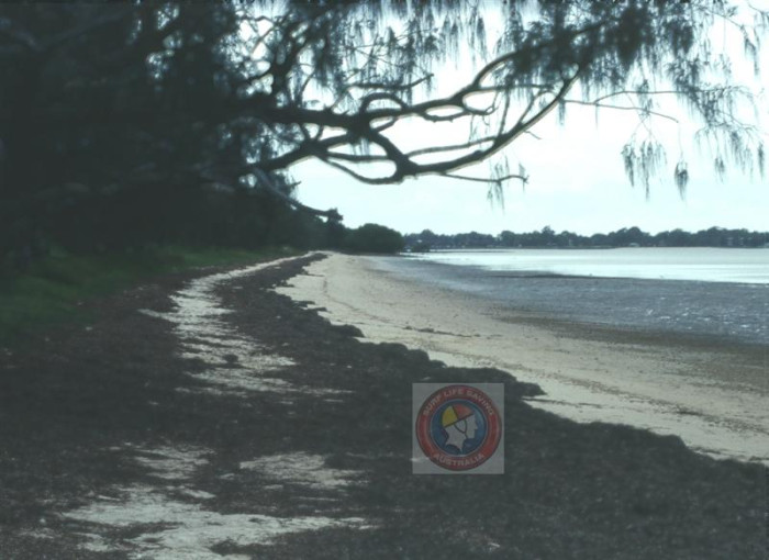 Pebble Beach - Beach in Sandstone Point Moreton Bay QLD - SLS Beachsafe