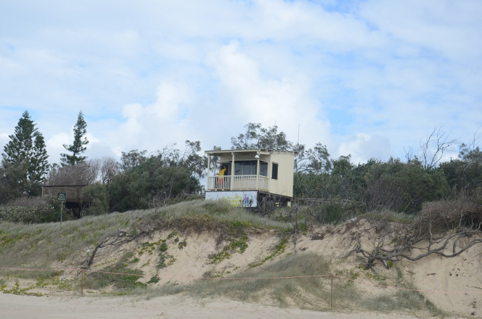 Peregian - Beach in Peregian Beach Sunshine Coast QLD - SLS Beachsafe