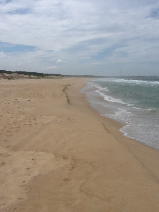 Perkins - Windang - Beach in Primbee Wollongong NSW - SLS Beachsafe