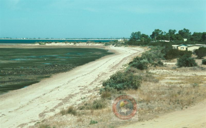 Pine Point (north) - Beach in Pine Point Yorke Peninsula SA - SLS Beachsafe