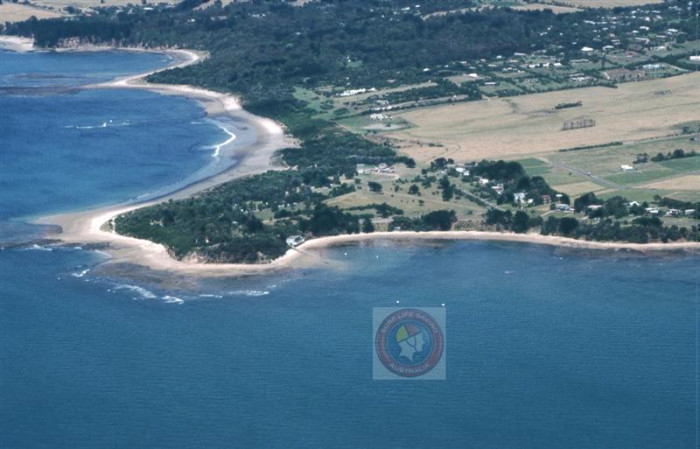 POINT LEO - Beach in Point Leo Mornington Peninsula VIC - SLS Beachsafe