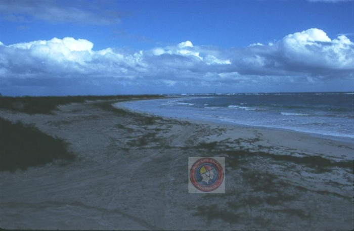 Point Moore - Beach in West End Geraldton-Greenough WA - SLS Beachsafe