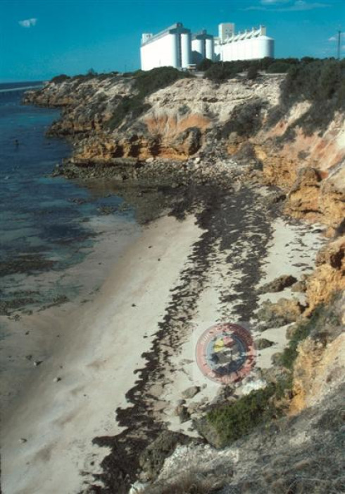Port Giles (north) - Beach in Port Giles Yorke Peninsula SA - SLS Beachsafe