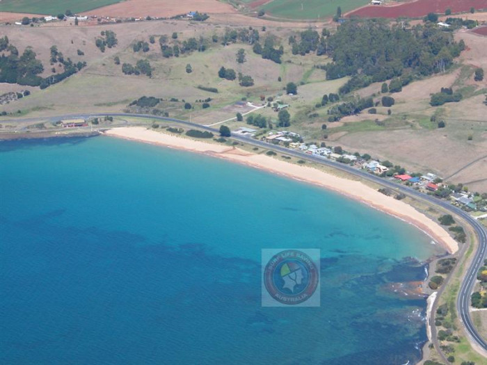 Preservation Bay - Beach in Preservation Bay Central Coast TAS - SLS ...