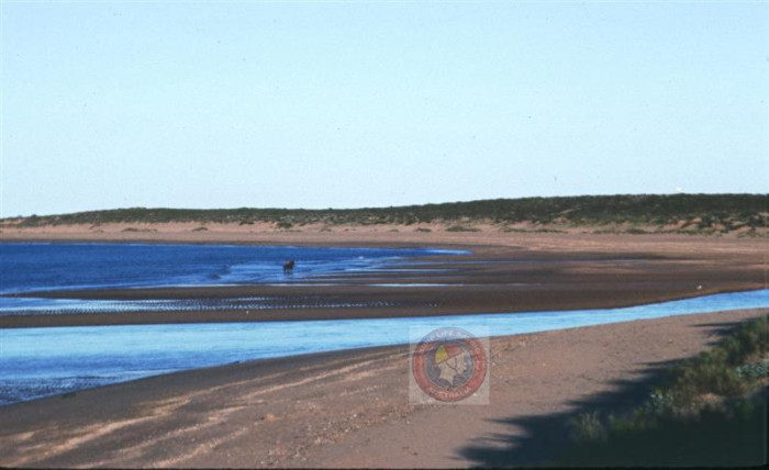 Pretty Pool - Beach in Redbank Port Hedland WA - SLS Beachsafe