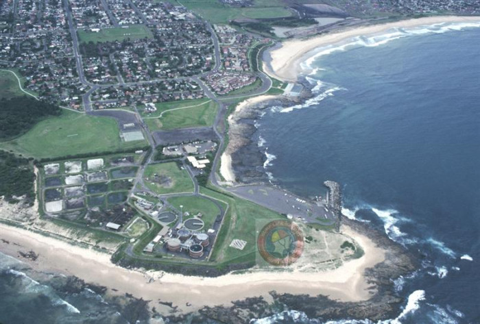 BELLAMBI POINT - Beach in East Corrimal Wollongong NSW - SLS Beachsafe