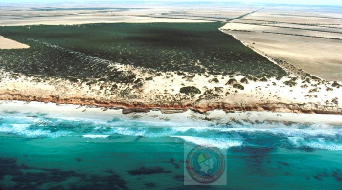 Red Banks (north 1) - Beach in Arno Bay Cleve SA - SLS Beachsafe