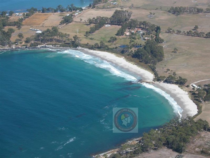 Roaring Beach (W) - Beach in Southport Huon Valley TAS - SLS Beachsafe
