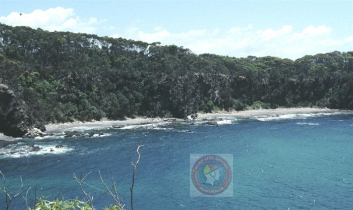 ROSEDALE NORTH - Beach in Rosedale Eurobodalla NSW - SLS Beachsafe