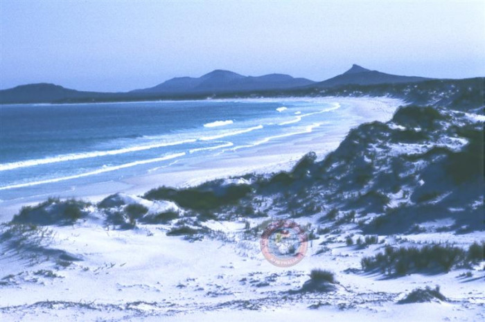 Rossiter Bay - Beach in Cape Le Grand Esperance WA - SLS Beachsafe
