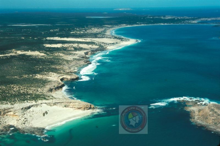 Royston Head - Beach in Inneston Yorke Peninsula SA - SLS Beachsafe