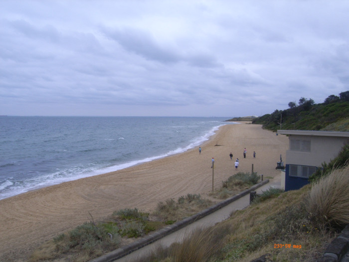 SANDRINGHAM - Beach in Sandringham Bayside VIC - SLS Beachsafe