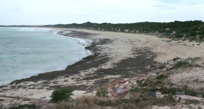 Sceale Bay-Yanerbie - Beach in Yanerbie Streaky Bay SA - SLS Beachsafe